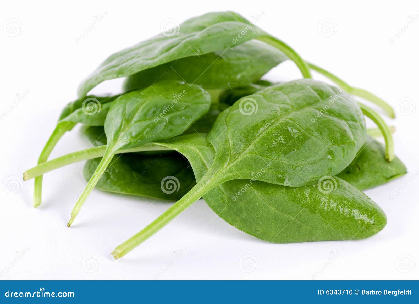 Fresh Spinach stock photo. Image of drop, background, spinach - 6343710
