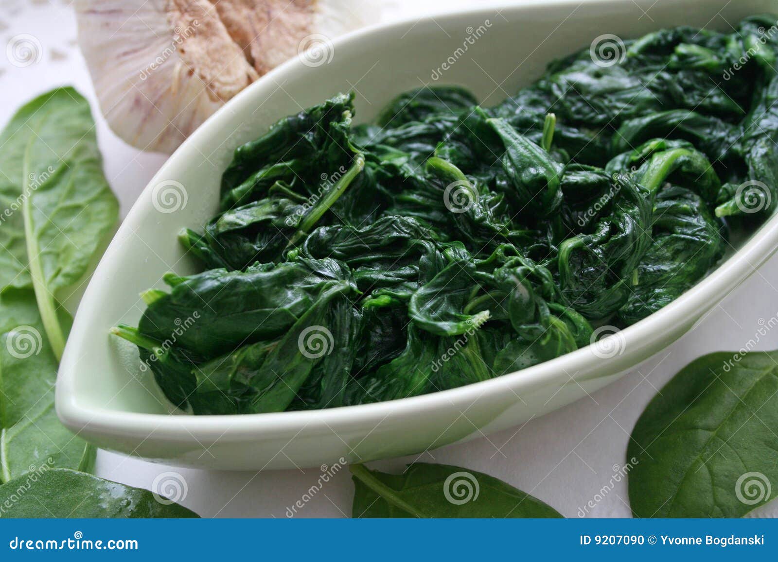 Fresh spinach stock photo. Image of spinach, dinner, fresh - 9207090