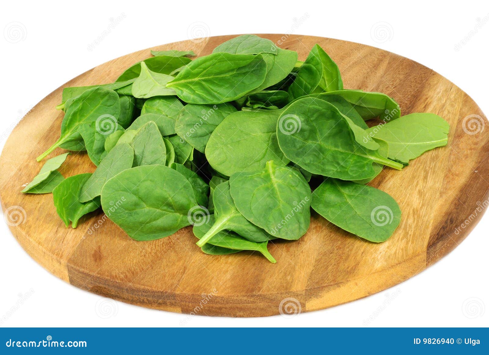 Fresh spinach stock photo. Image of organic, isolated - 9826940
