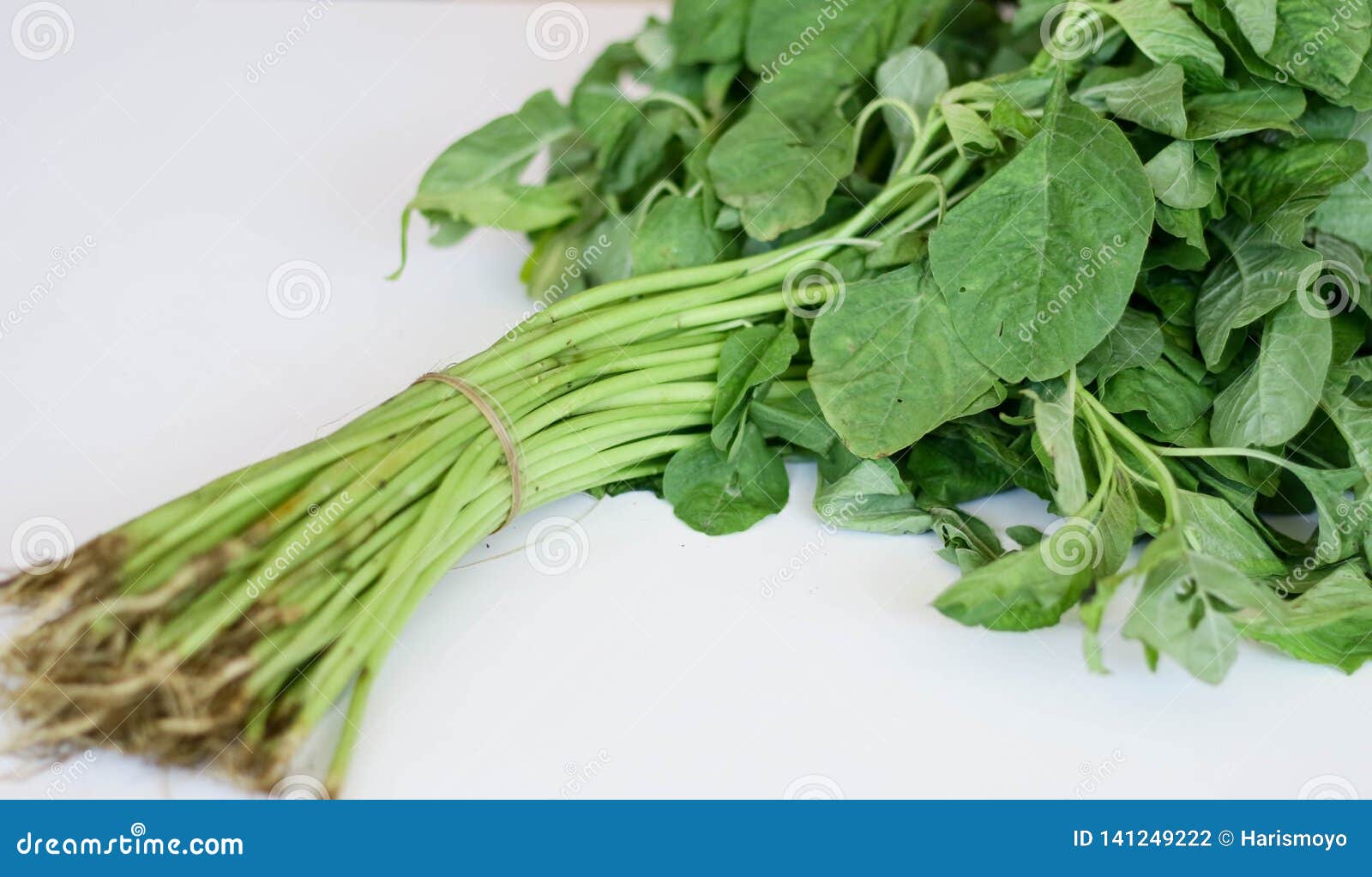 Fresh spinach stock photo. Image of cuisine, spinach - 141249222