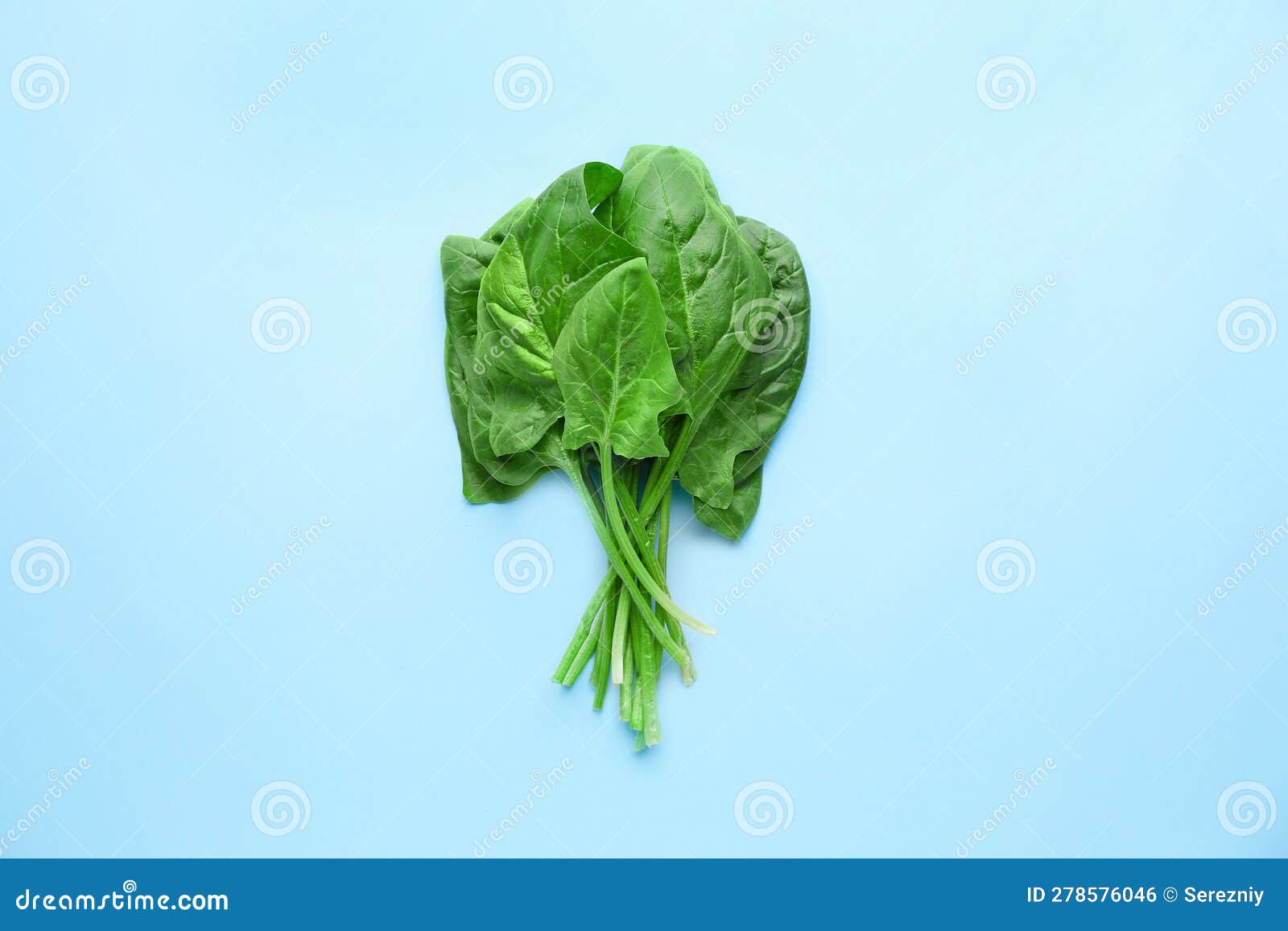 Fresh Spinach on Color Background Stock Photo - Image of blue, diet ...
