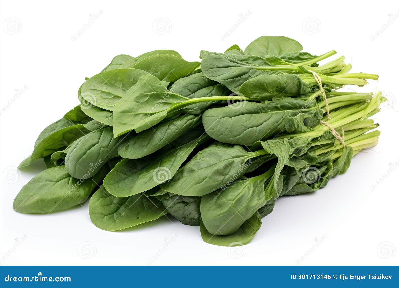 Fresh Spinach Leaves on Clean White Backdrop for Captivating Ads and ...