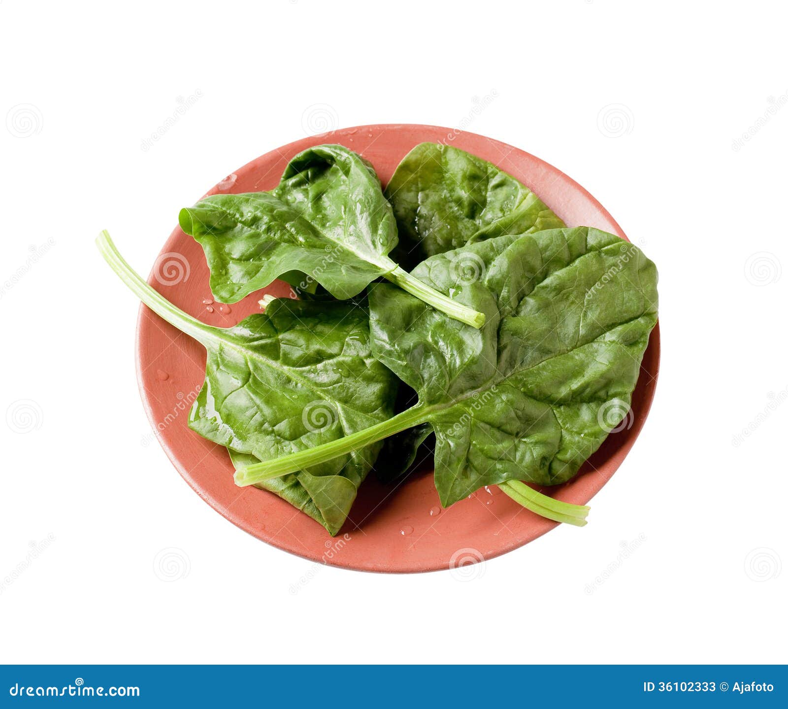 Fresh spinach leaves stock image. Image of background - 36102333