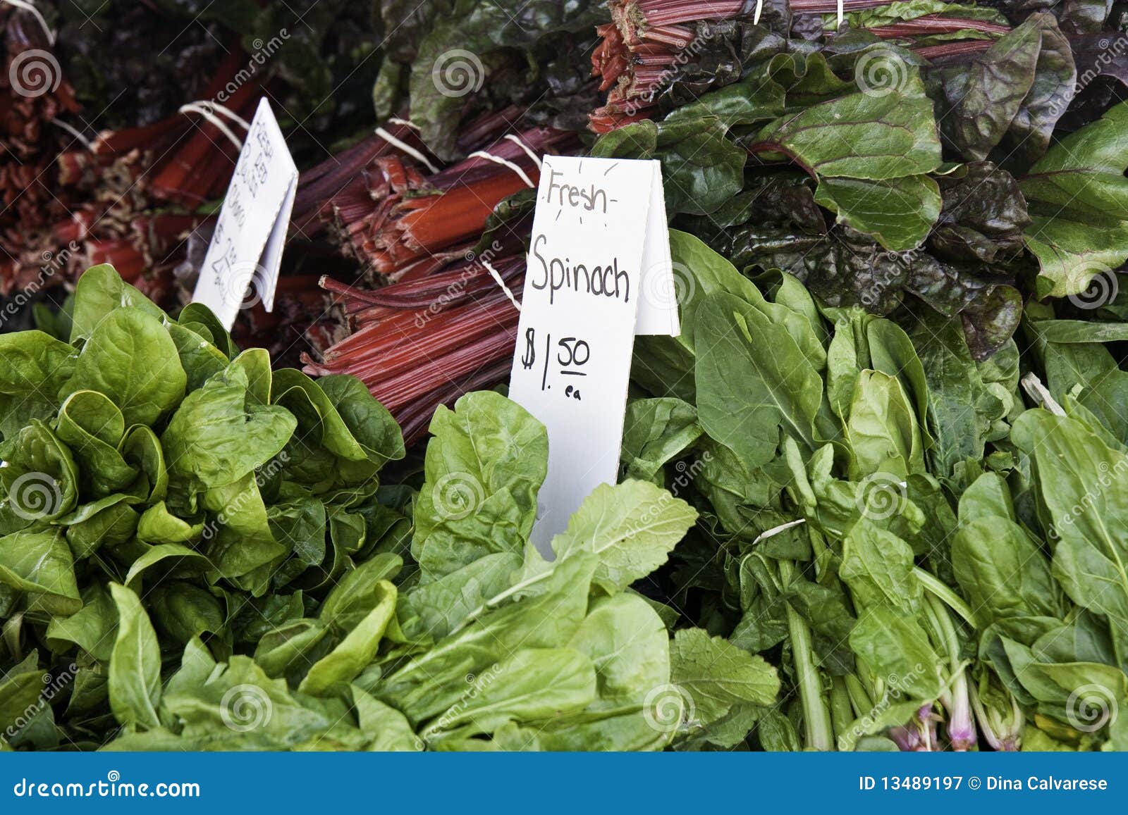 Fresh Spinach & Swiss Chard Stock Image - Image of spinach, green: 13489197