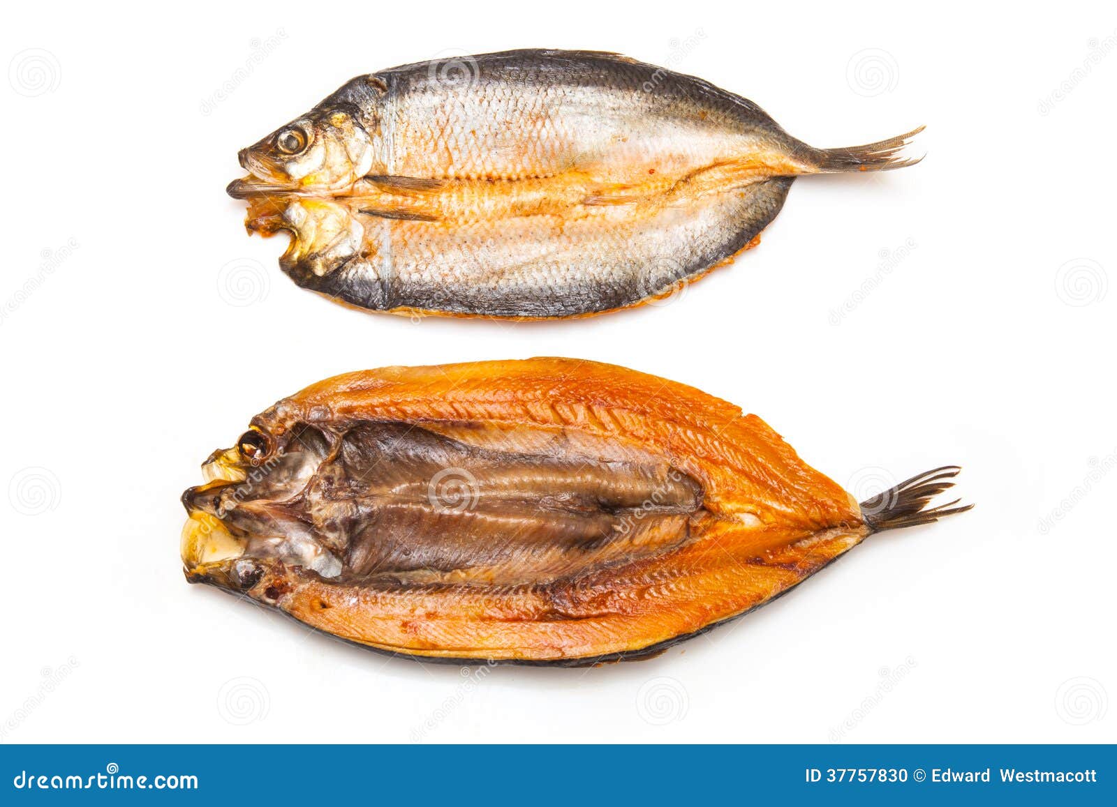 Fresh split kippers stock photo. Image of scales, split - 37757830