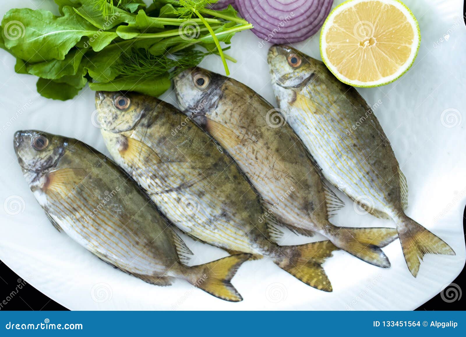Fresh Spotted Spinefoot Fish with Rockets Leaves Served on White Plate ...