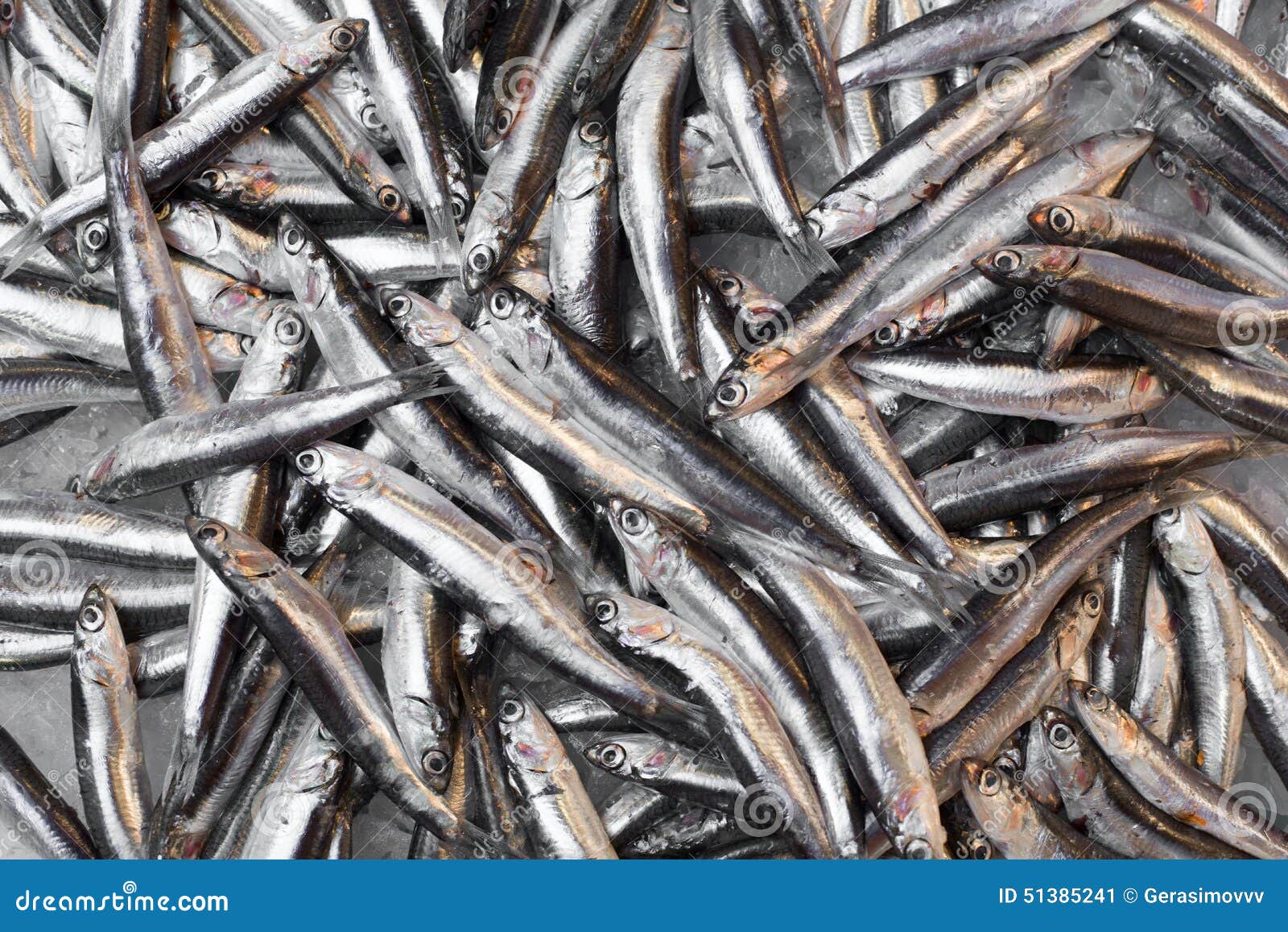 Fresh sprat stock image. Image of dinner, healthy, delicious - 51385241