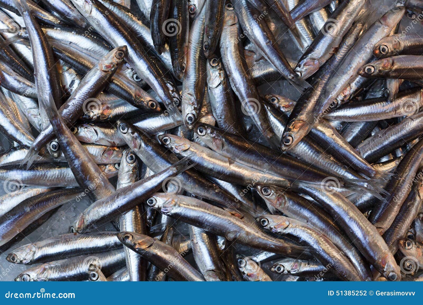 Fresh Sprat Fish On Display On Ice On Market Store Shop. Seafood ...