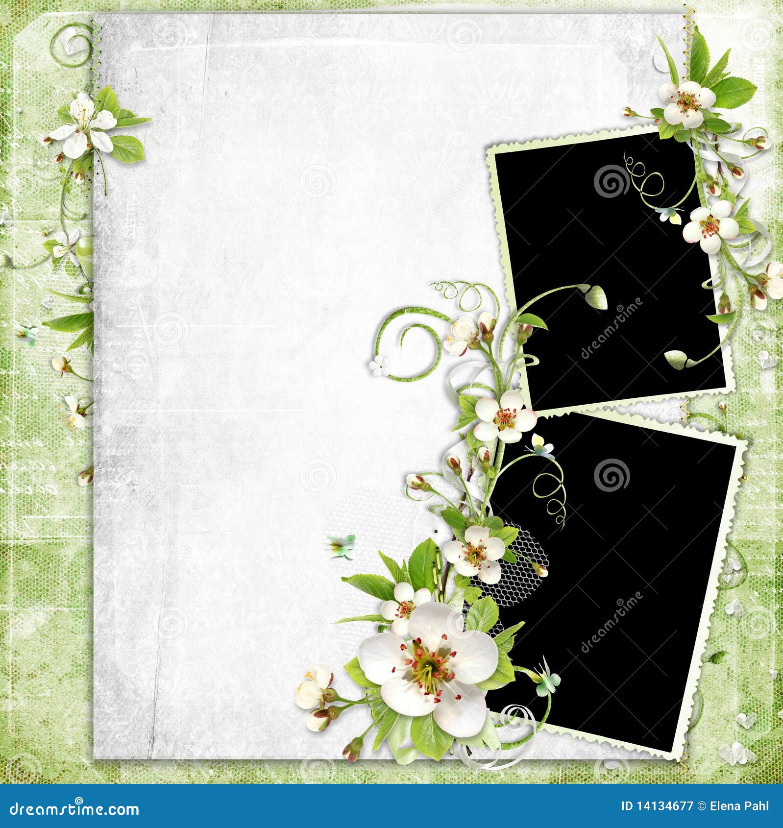 Fresh Spring Apple Tree Flowers Frame Stock Illustration - Illustration ...