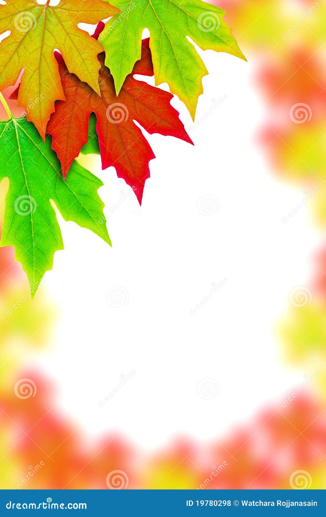 Fresh Spring Autumn Leaves Border Stock Photo - Image of leaf, border ...