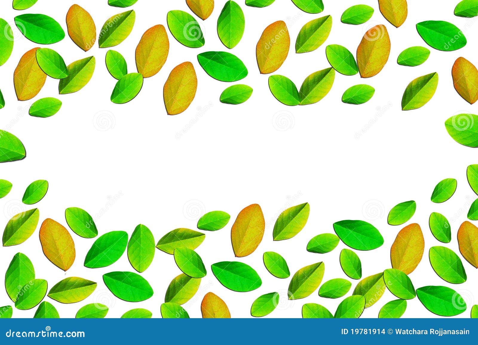 Fresh Spring Autumn Leaves Border Stock Photo - Image of colorful ...