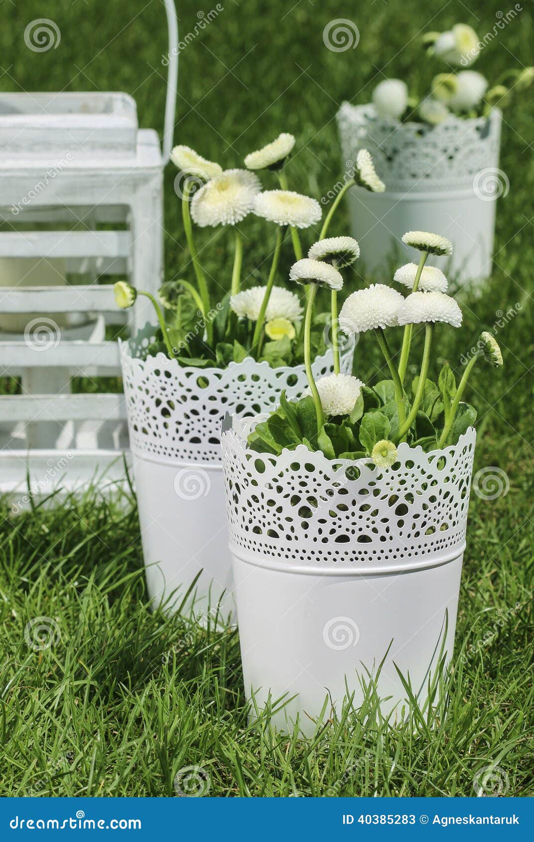 Fresh Spring Decorations for the First Communion Stock Image - Image of ...