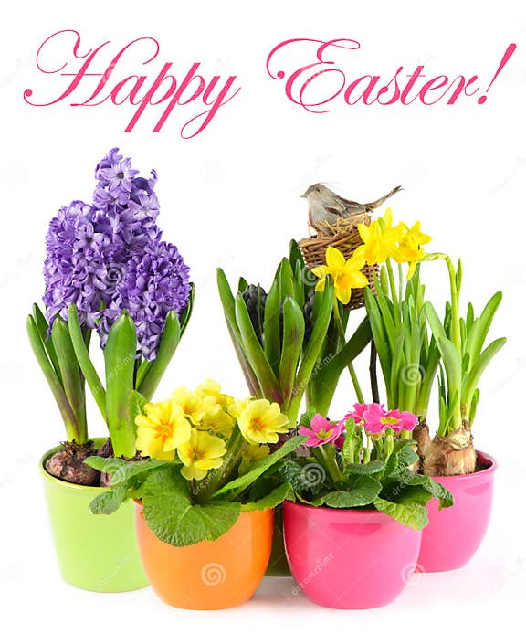 Fresh Spring Flowers with Birds Nest. Easter Stock Image - Image of ...