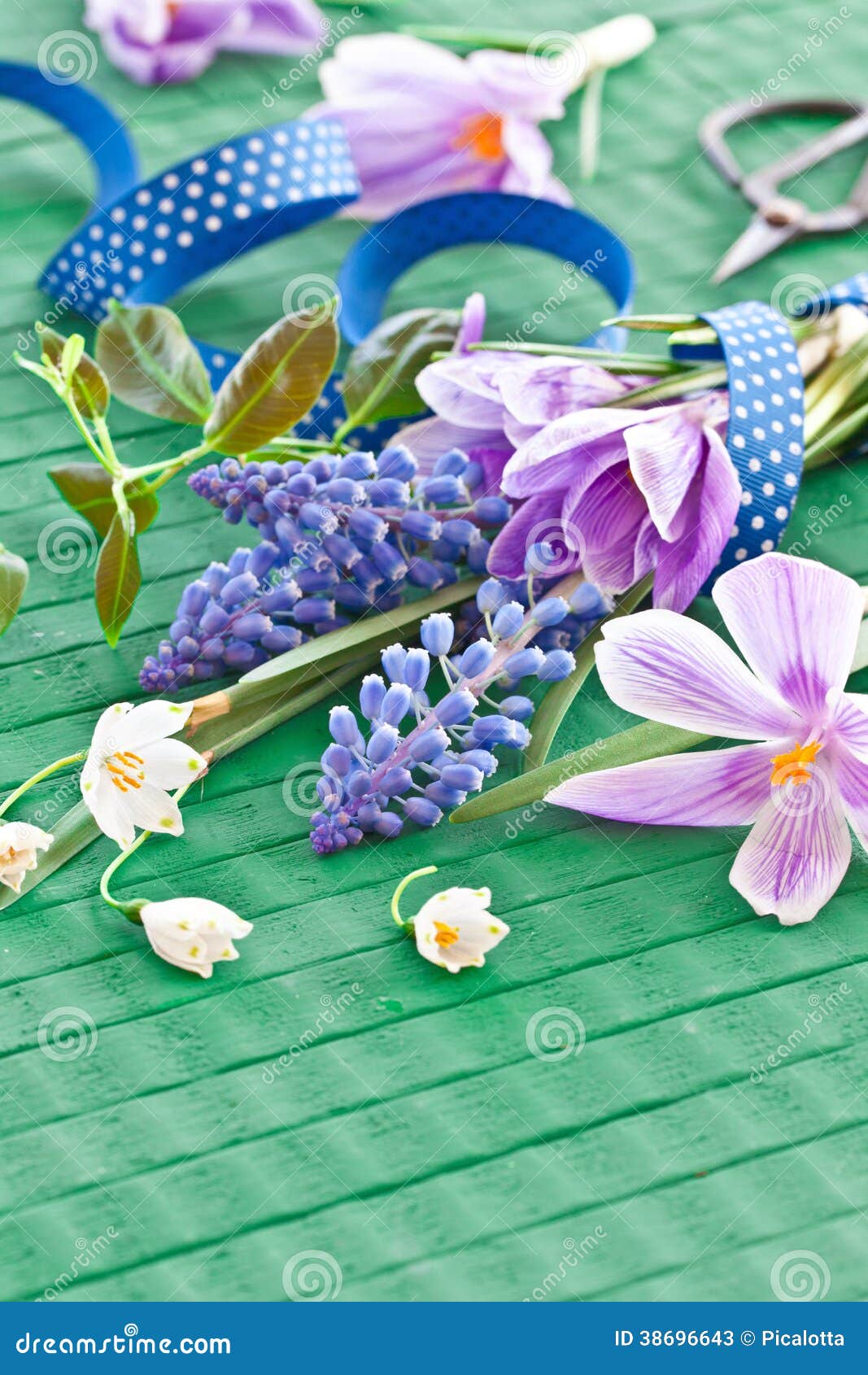 Fresh spring flowers stock image. Image of background - 38696643