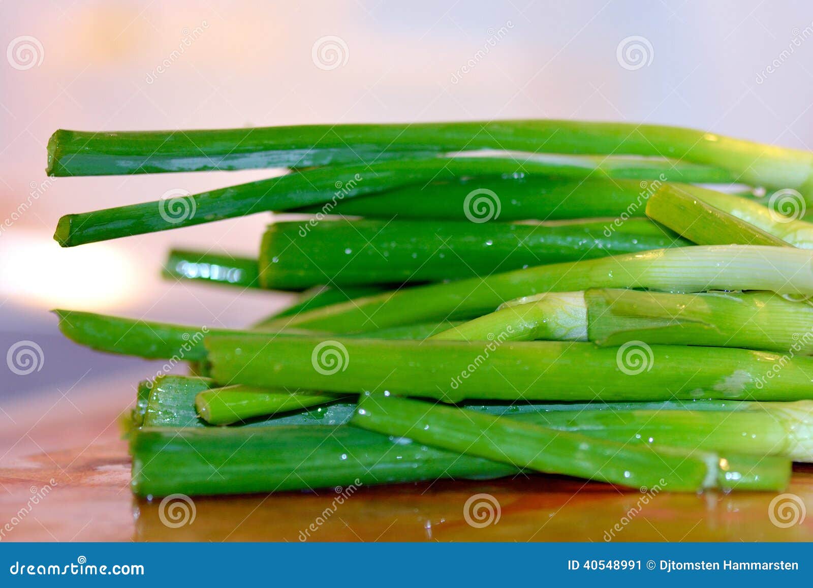 Fresh spring garlic stock image. Image of leafy, bunch - 40548991