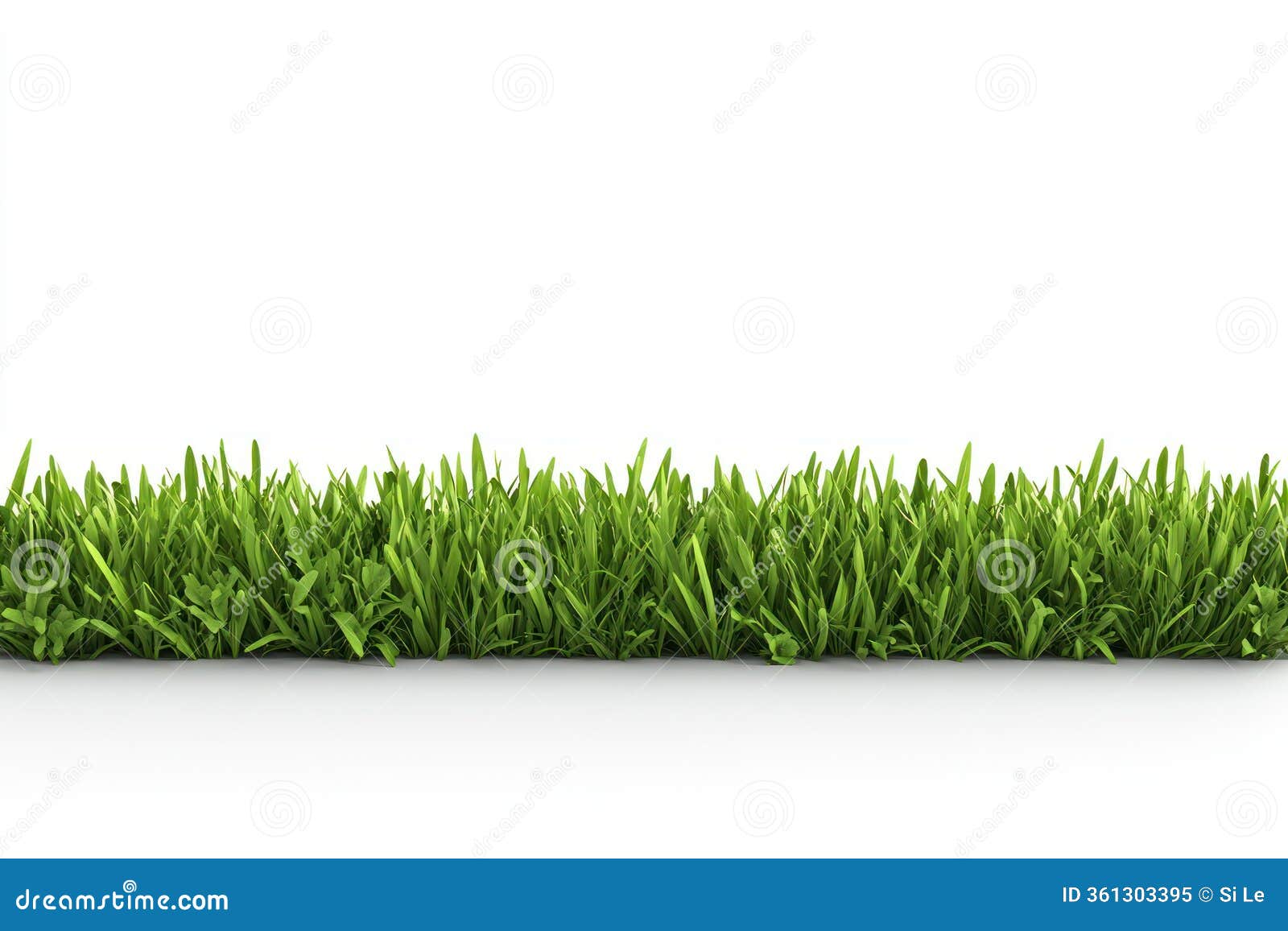 Fresh Spring Grass Border on White Background Stock Illustration ...