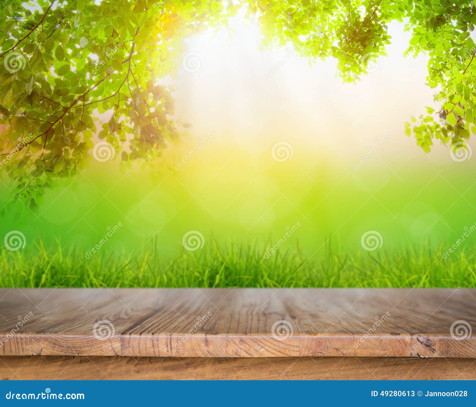 Fresh Spring Green Grass and Wood Floor Stock Image - Image of element ...