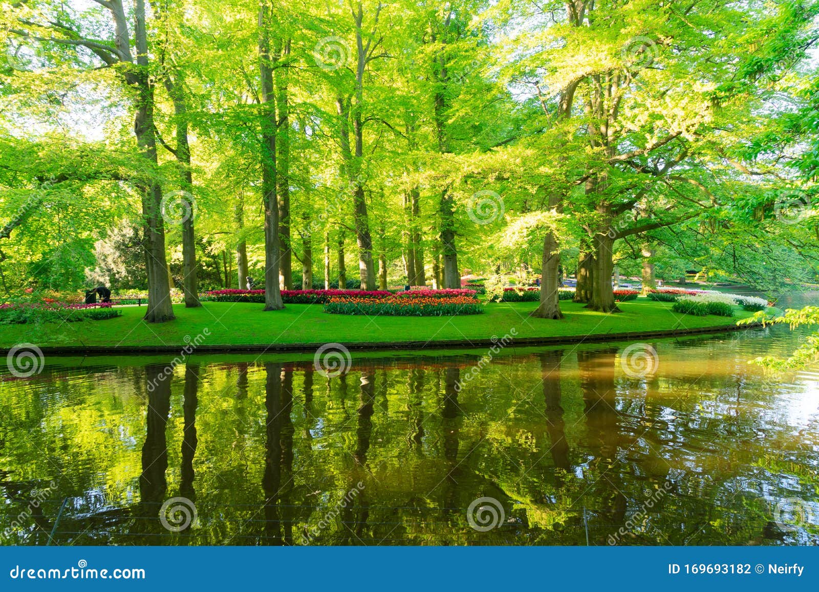 Spring pond in park stock photo. Image of lawn, design - 169693182