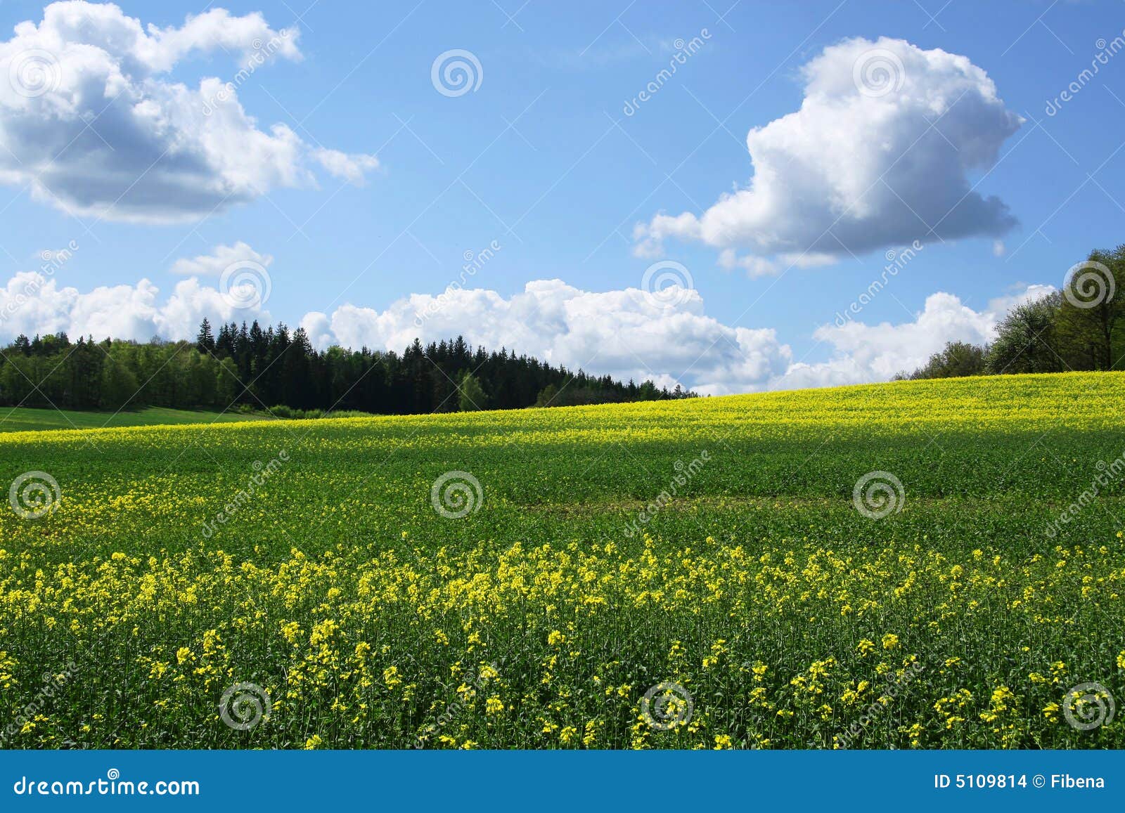 Fresh spring landscape stock photo. Image of country, cloudy - 5109814