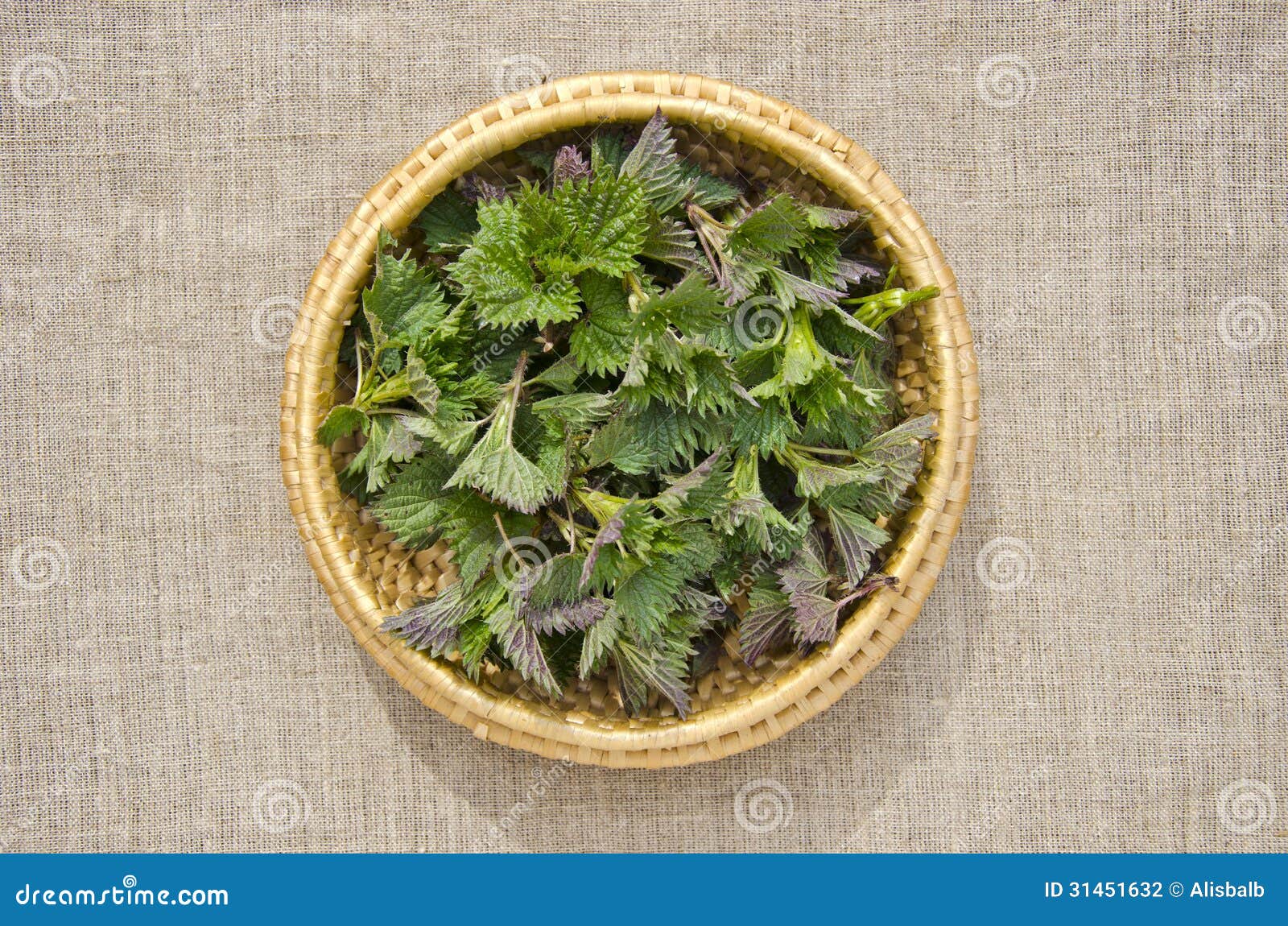 Fresh Spring Nettle Sprouts in Basket Stock Photo - Image of concept ...