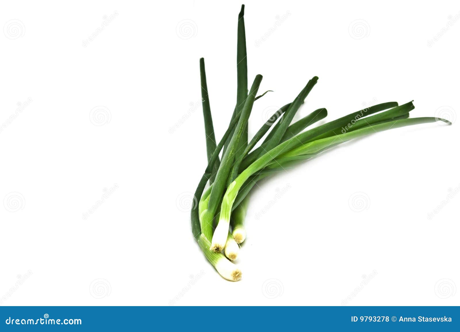 Fresh spring onion stock photo. Image of bright, cook - 9793278