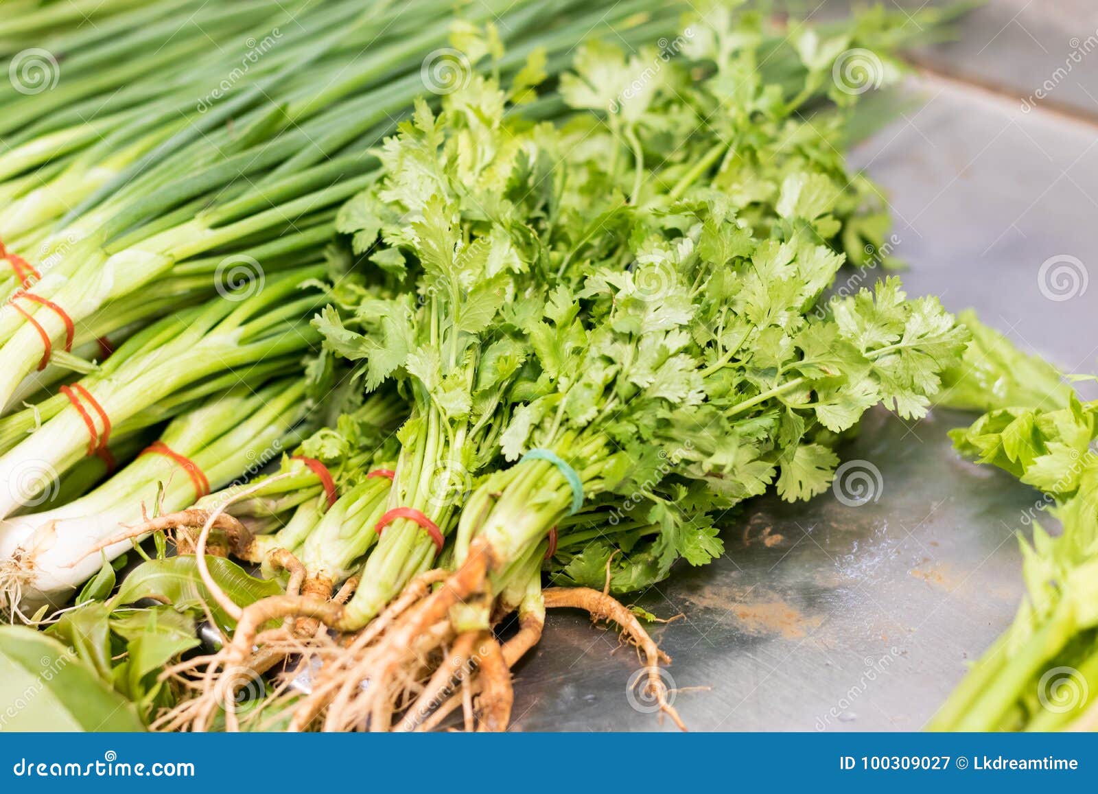 Fresh Spring Onion and Coriander. Stock Image - Image of business ...