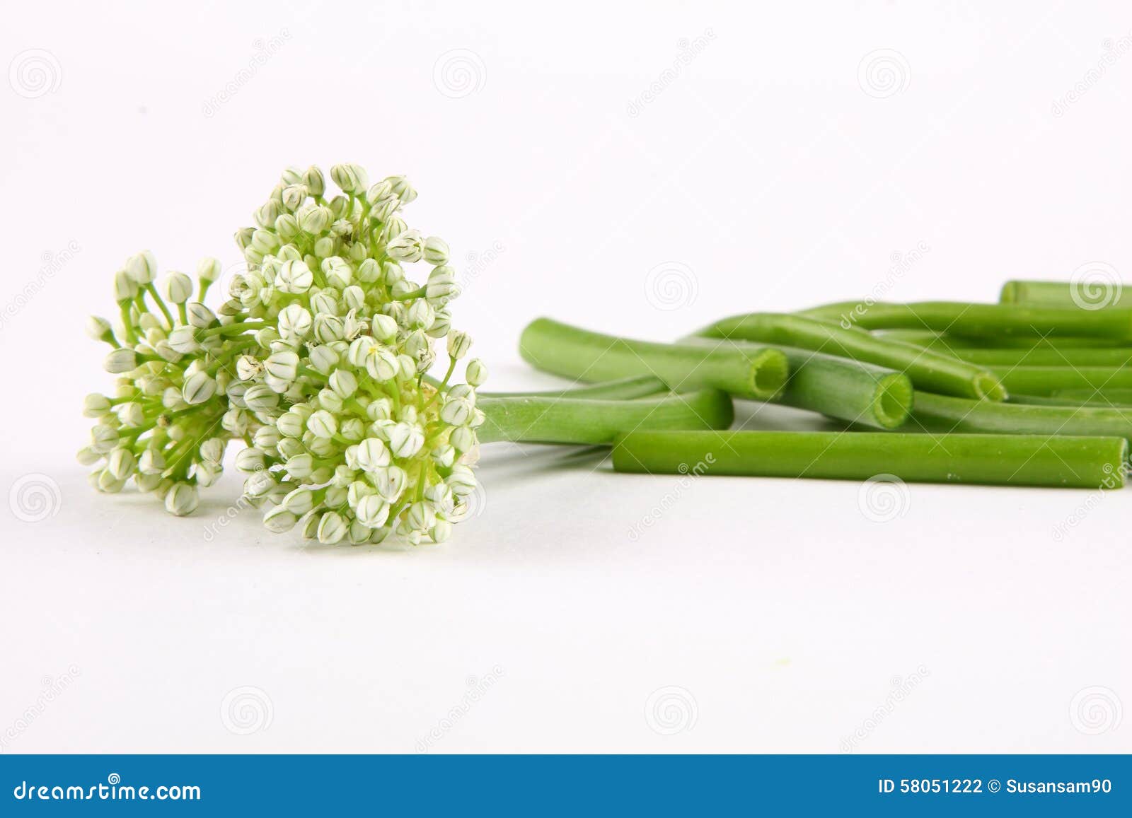 Fresh Spring Onion Flowers with Sliced Spring Onion Stock Photo - Image ...