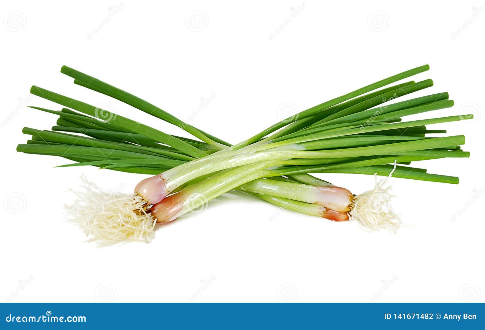Spring Onion Isolated on White Background Stock Photo - Image of ...