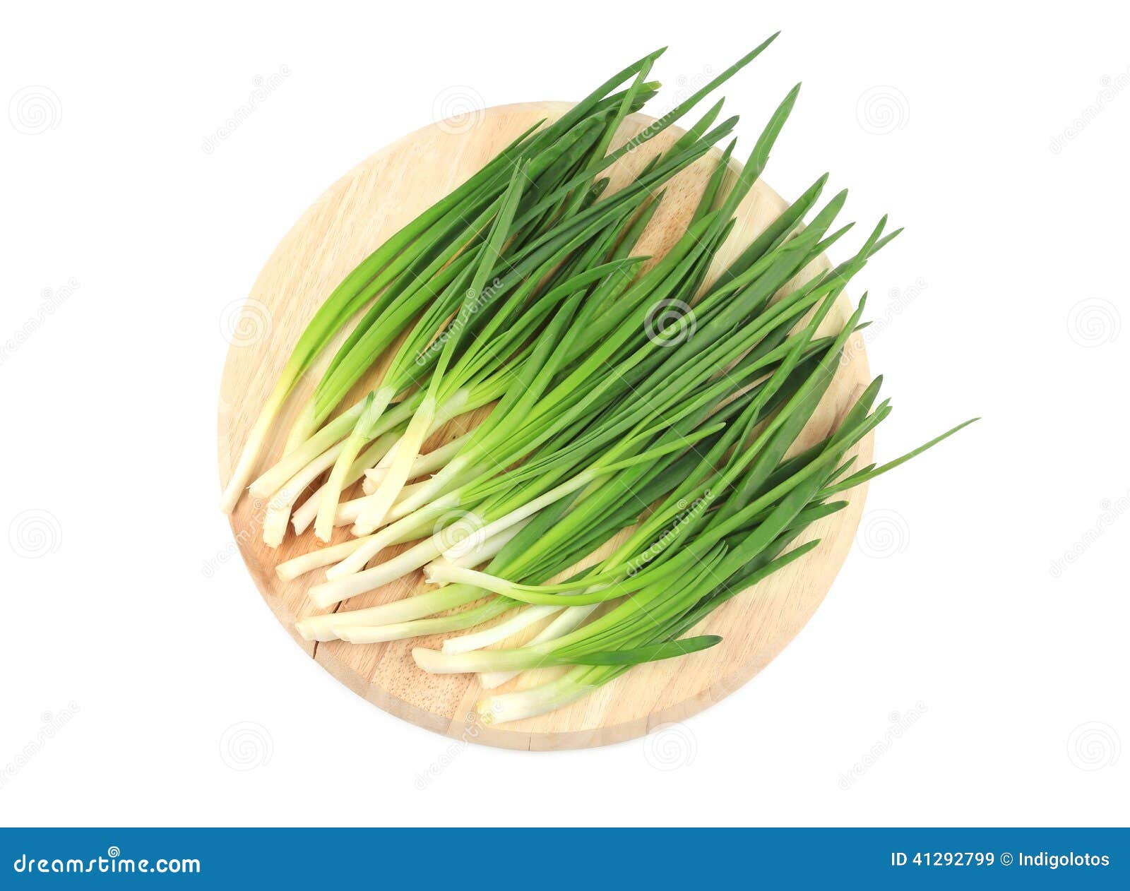 Fresh Spring Onion on Platter. Stock Image - Image of organic, spice ...