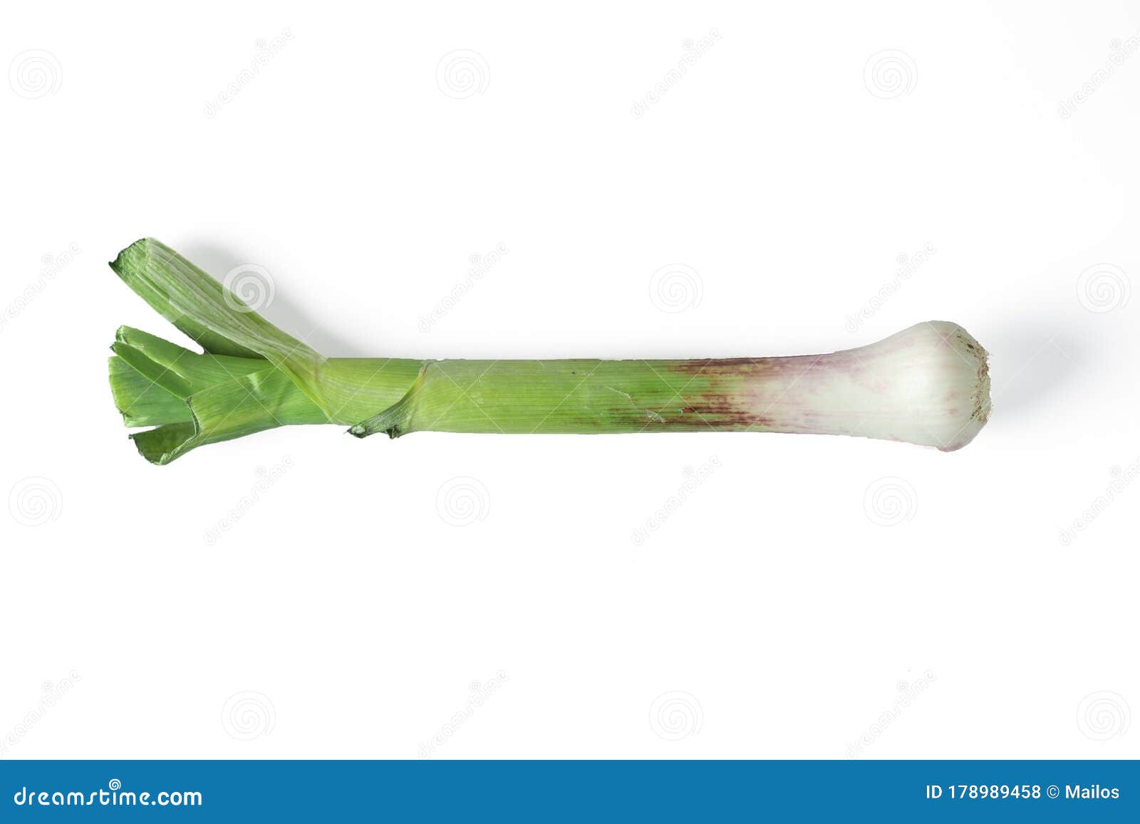 Fresh Spring Onion on White Stock Photo - Image of onion, healthy ...
