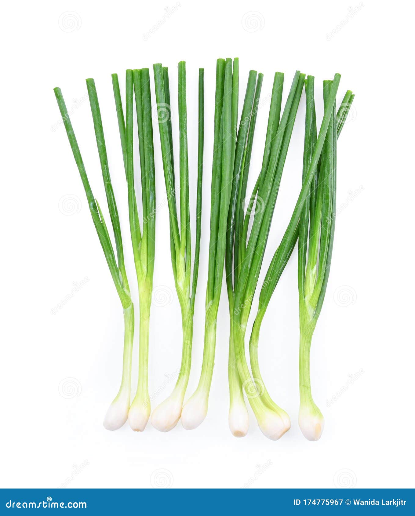 Fresh Spring Onion on White Background Stock Image - Image of chef ...