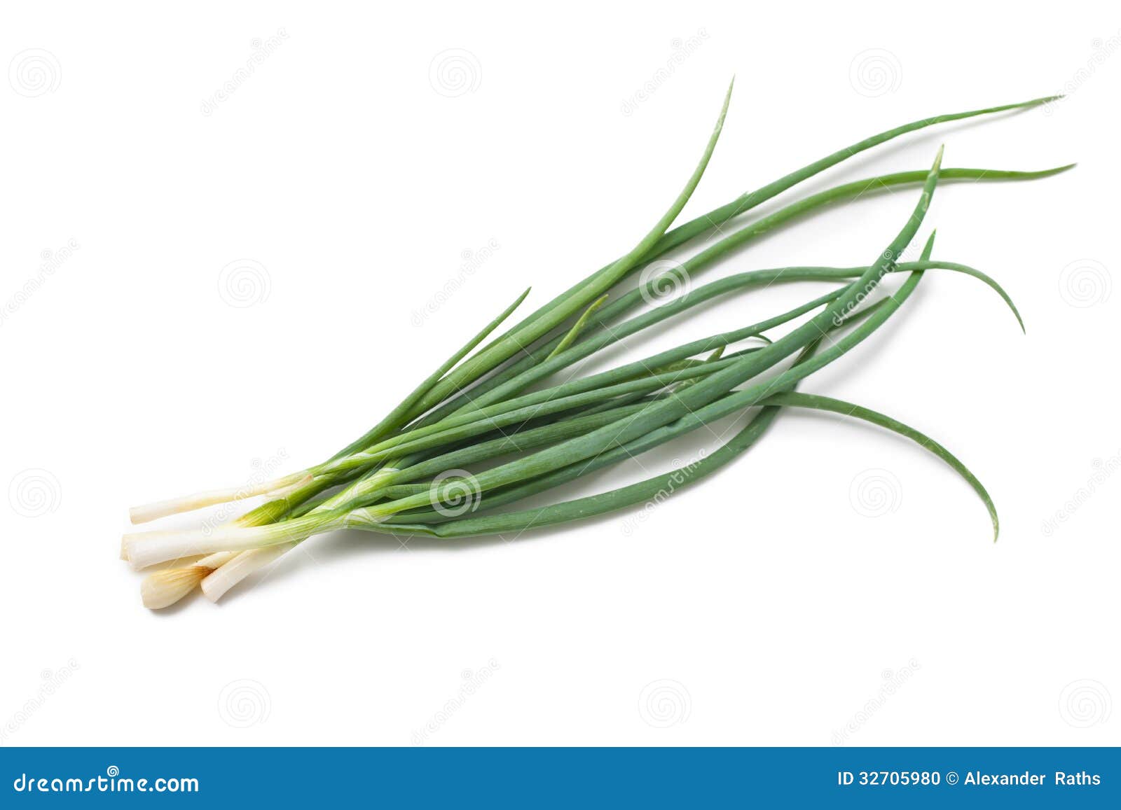 Fresh spring onions stock photo. Image of bunch, bulb - 32705980
