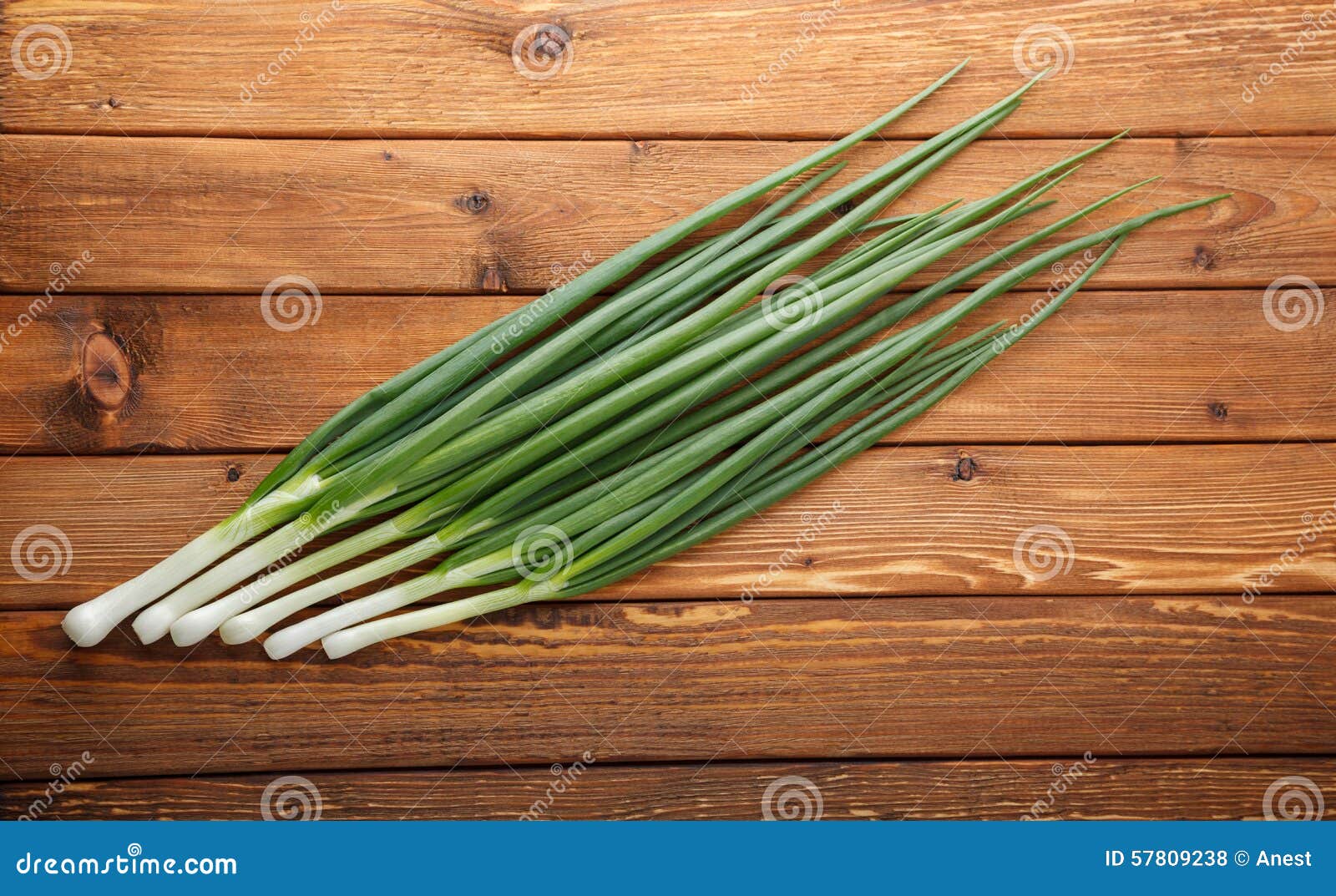 Fresh spring onions stock photo. Image of closeup, bunch - 57809238