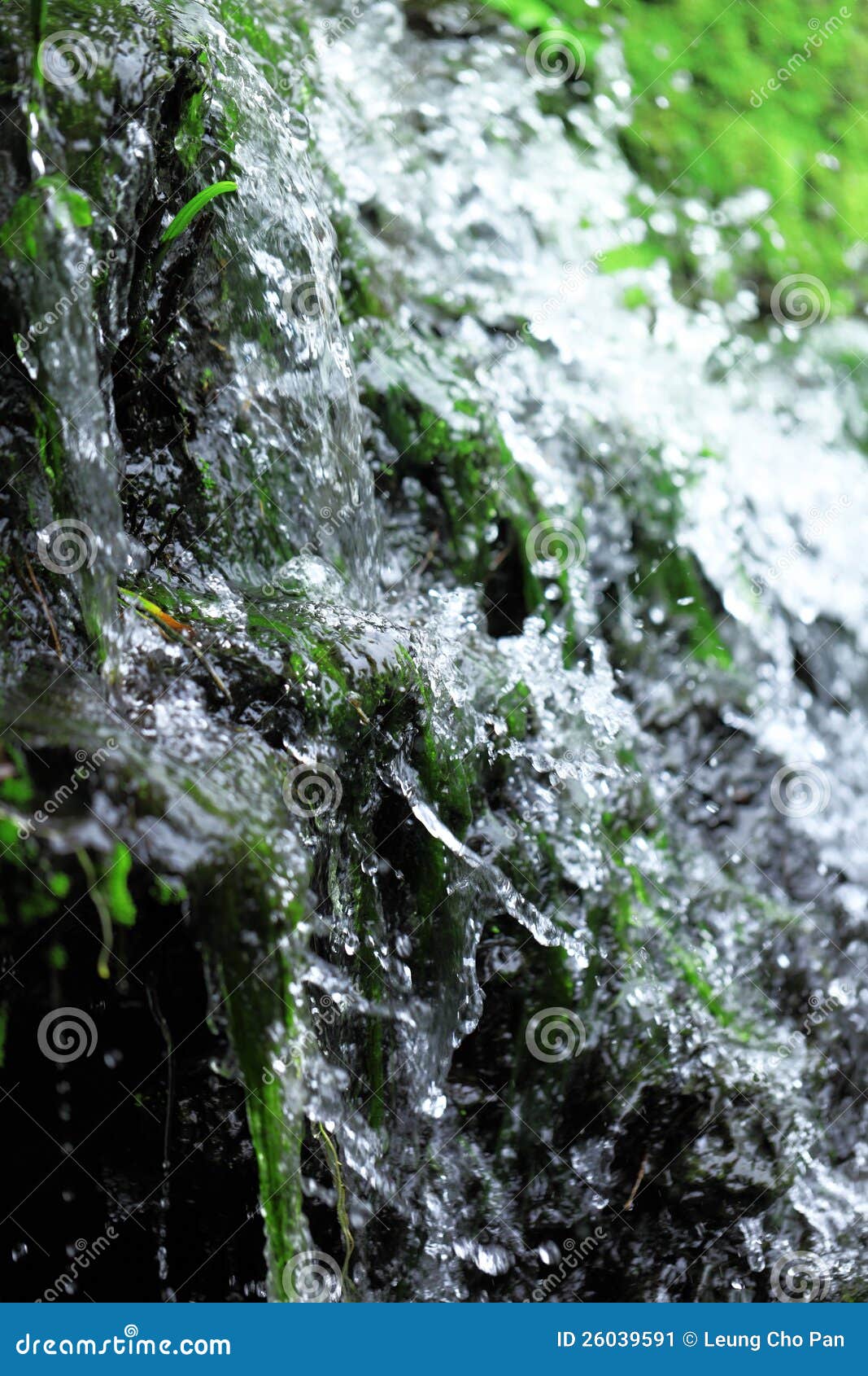 Fresh spring water stock image. Image of ecological, freshness - 26039591