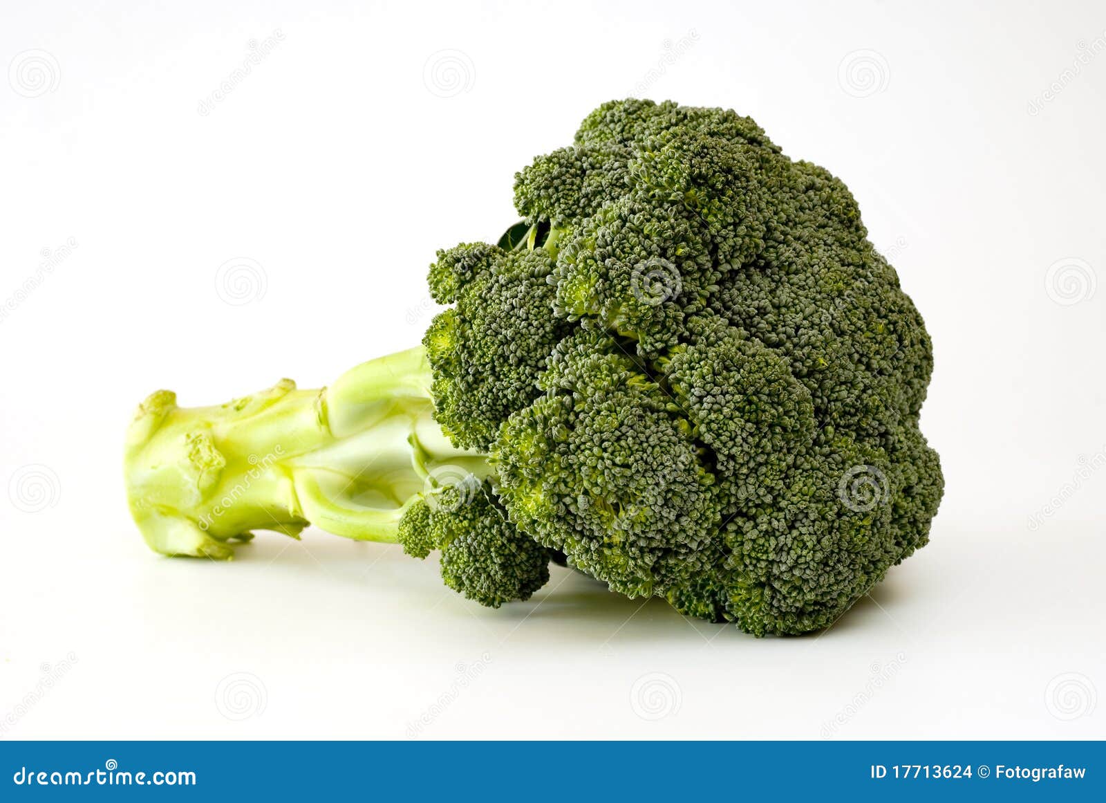 Fresh sprouting broccoli stock photo. Image of bloom - 17713624