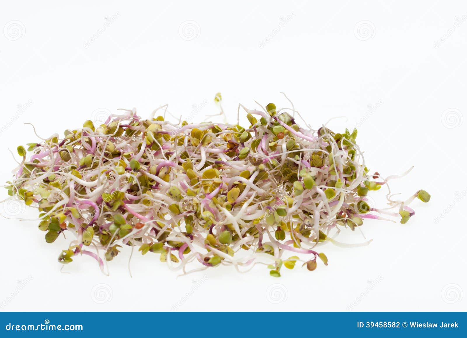 Fresh sprouts stock photo. Image of organic, growing - 39458582