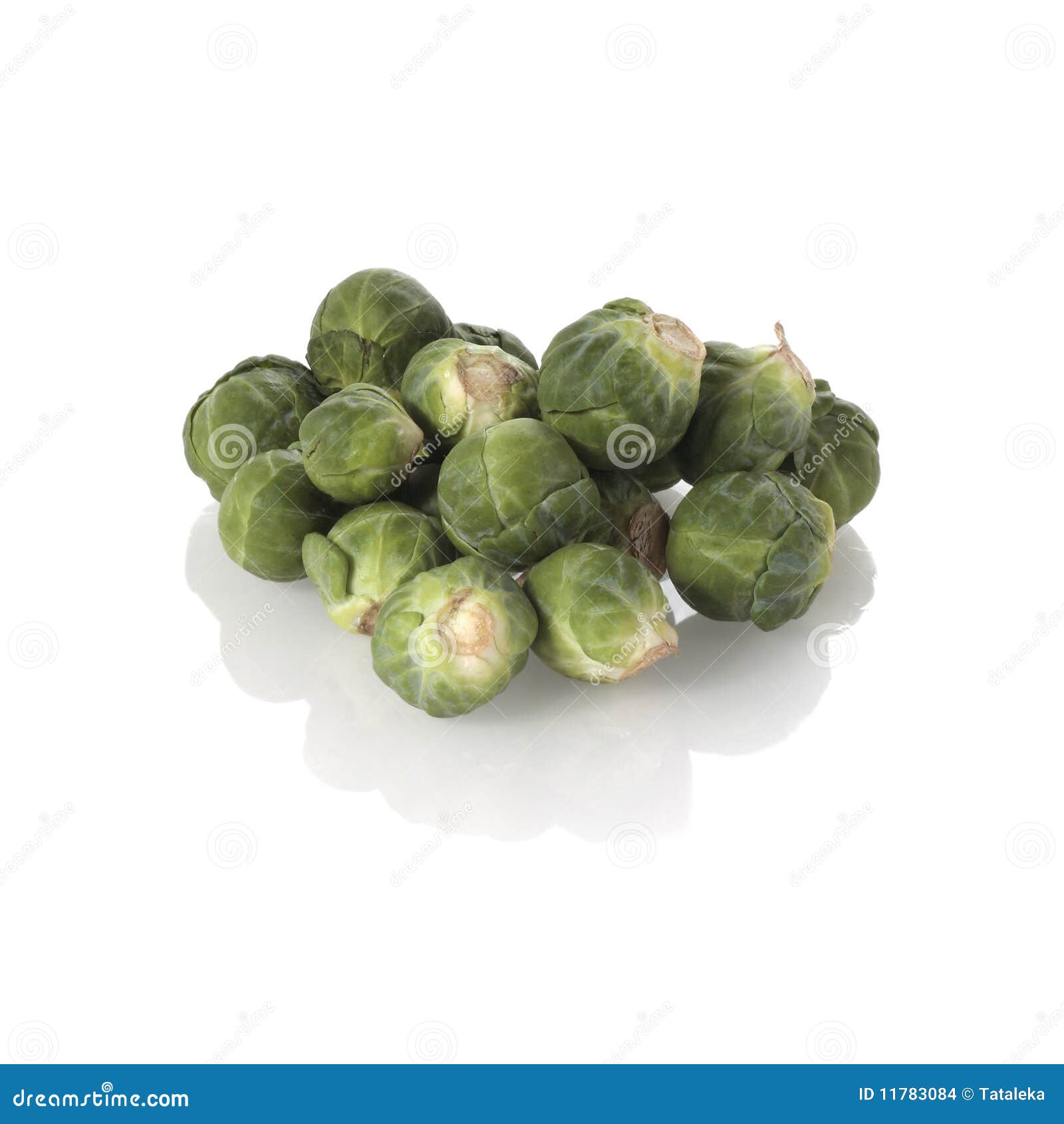Fresh sprouts on white stock photo. Image of fresh, small - 11783084
