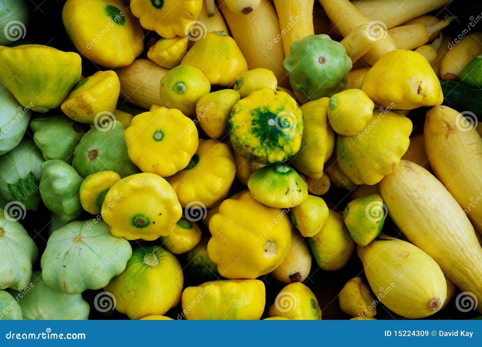 Fresh Squash stock image. Image of vegetable, organic - 15224309
