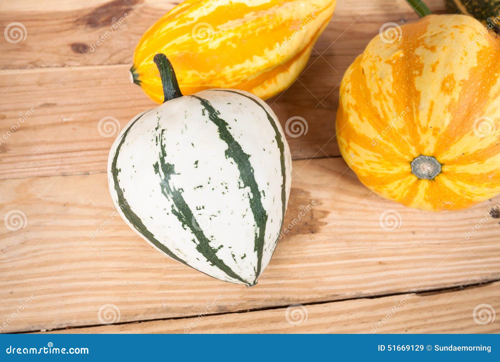 Fresh squash stock image. Image of fruit, crop, agriculture - 51669129