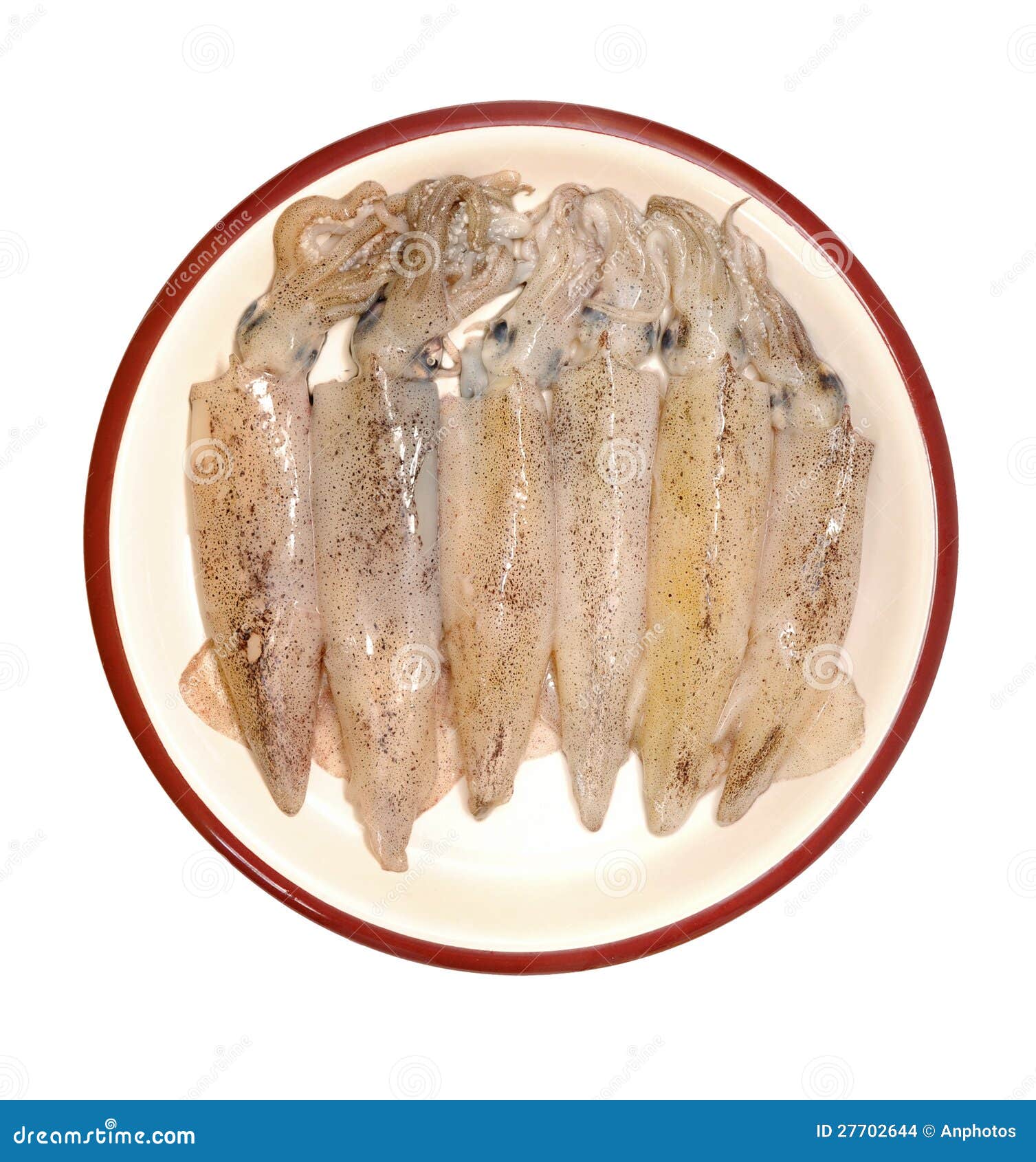 Fresh squid on dish stock photo. Image of cuttlefish - 27702644