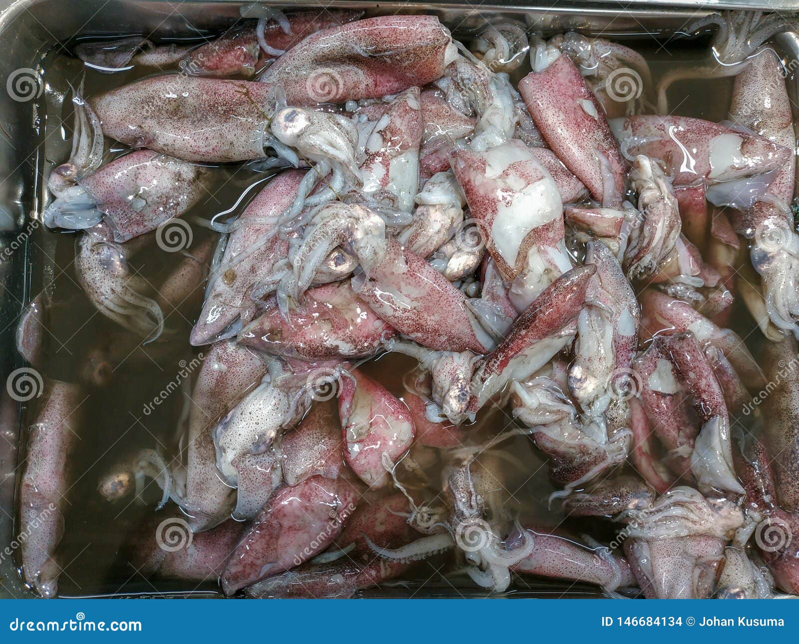 Fresh squid stock photo. Image of market, cuisine, food - 146684134