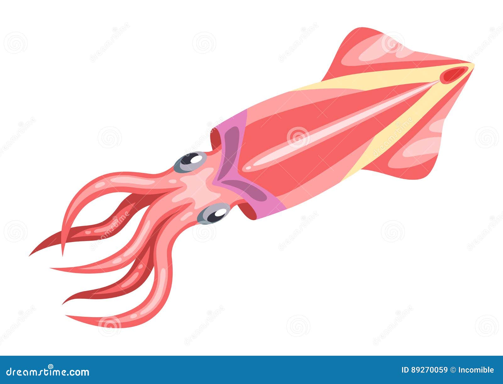 Fresh Squid, Calamari. Seafood. Sea, Ocean Wildlife. Marine Animal ...