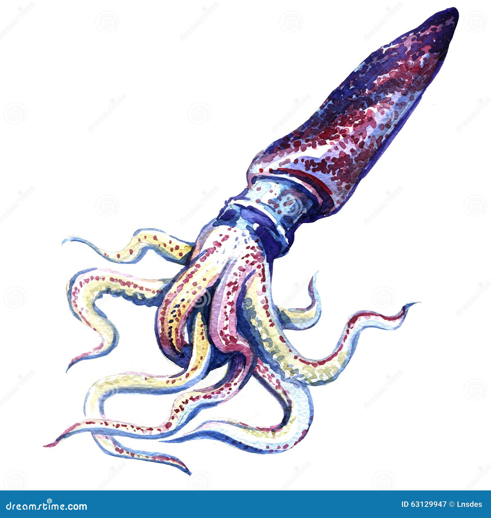 Fresh Squid, Calamari. Seafood. Sea, Ocean Wildlife. Marine Animal ...