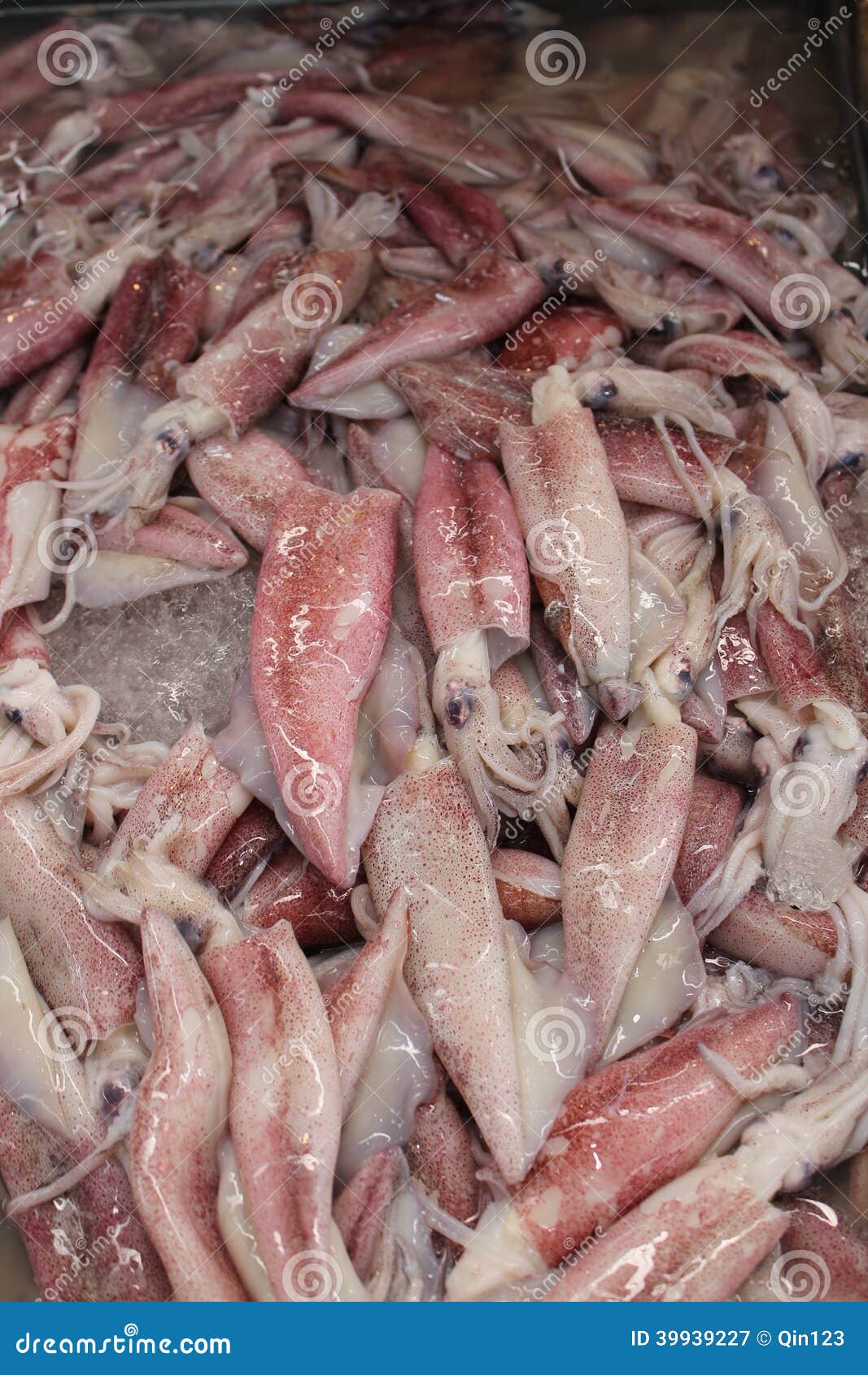 Fresh Squid in market stock image. Image of eating, delicious - 39939227