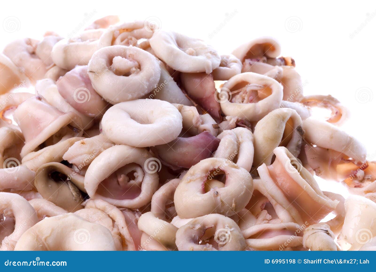 Fresh Squid Rings Isolated stock photo. Image of food - 6995198