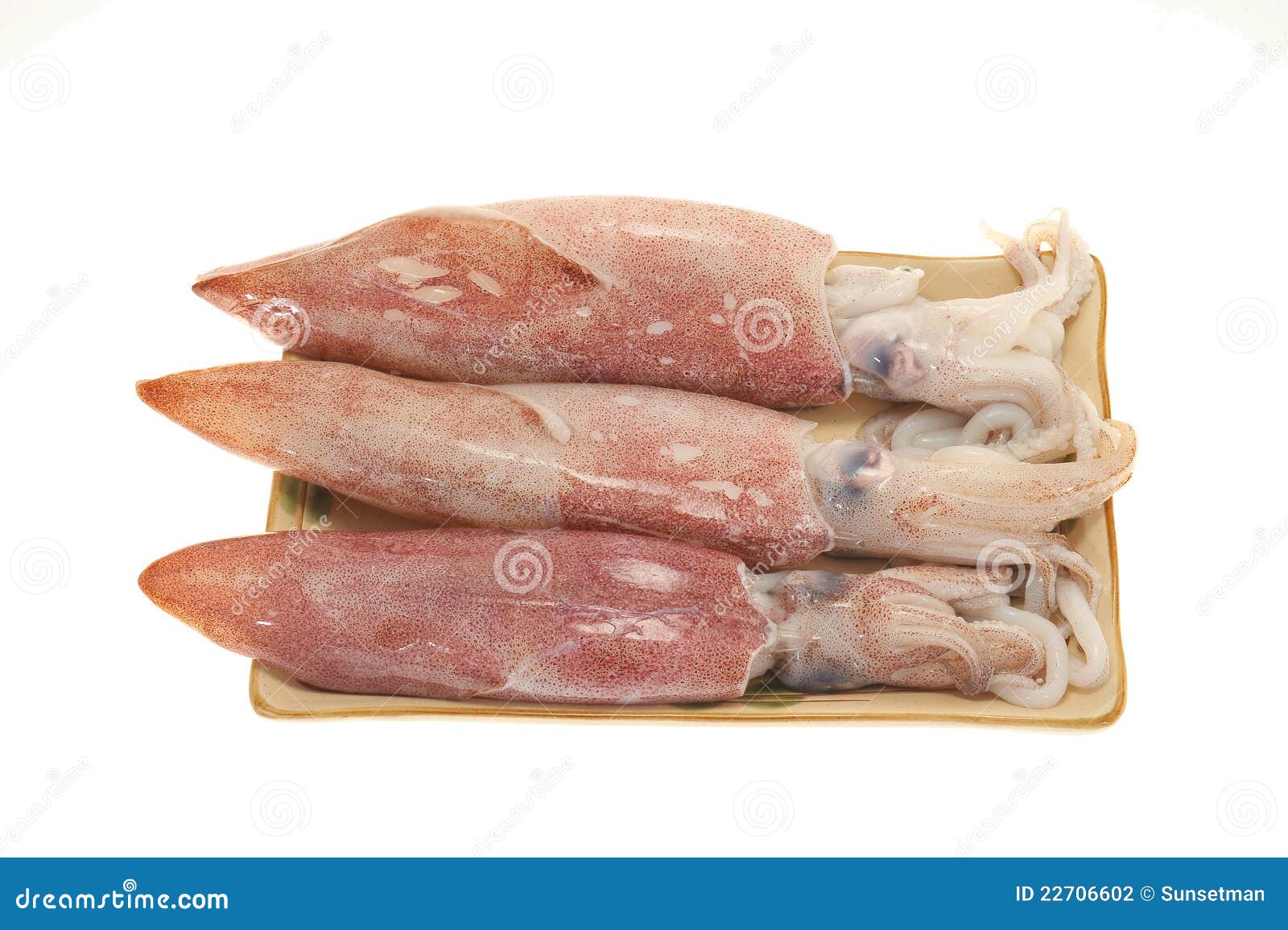 Fresh Squids stock photo. Image of marine, plate, gourmet - 22706602