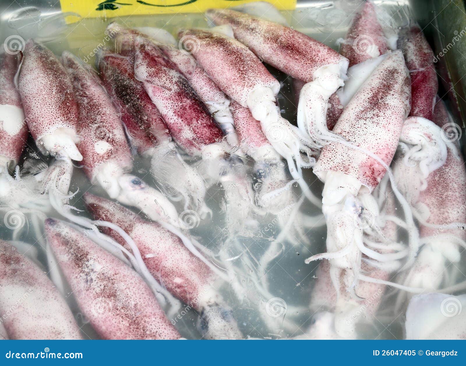 Fresh Squids Display in the Basket Fresh Seafood Stock Image - Image of ...