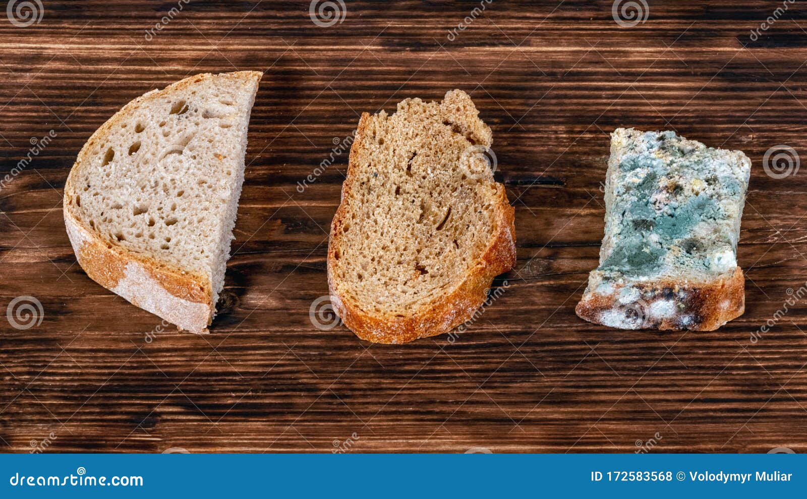 Fresh, Stale and Moldy Bread on a Dark Wooden Background_ Stock Photo ...