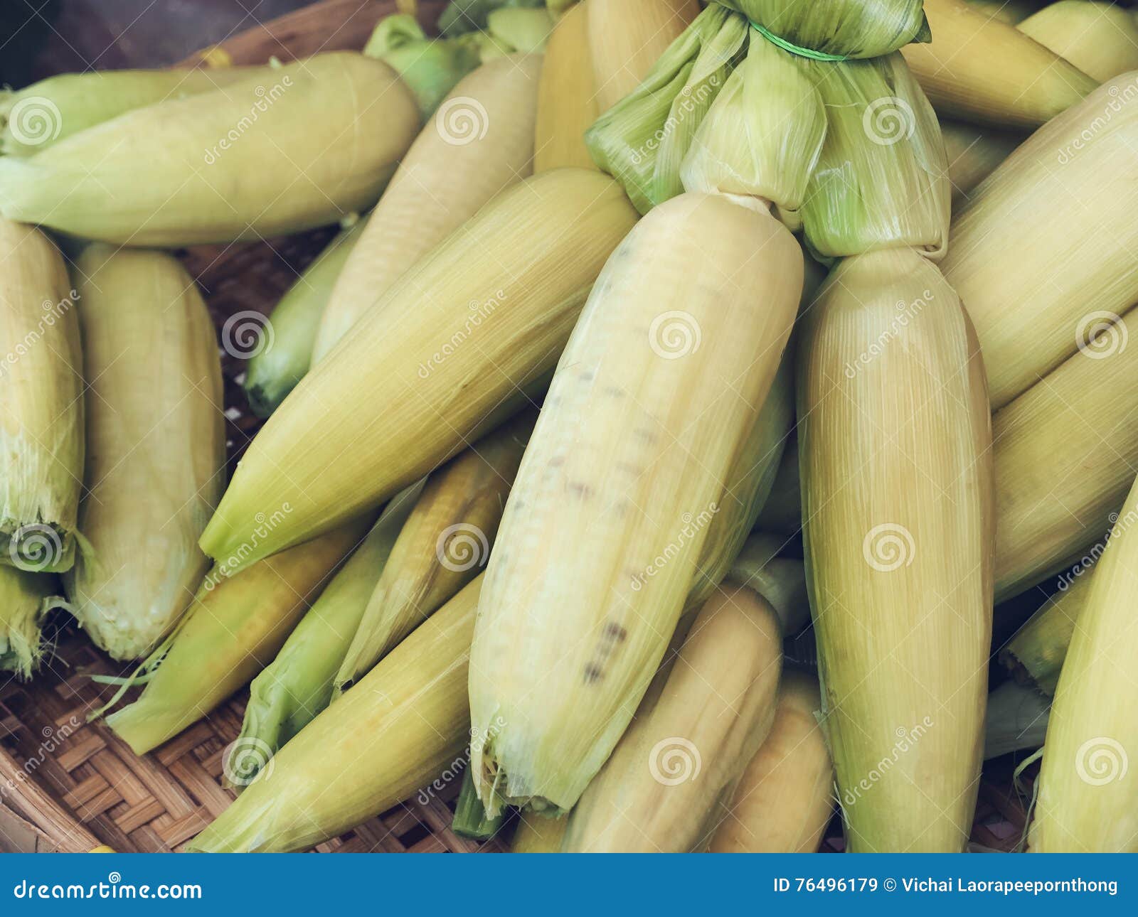 Fresh steamed Corn stock image. Image of maize, crop - 76496179