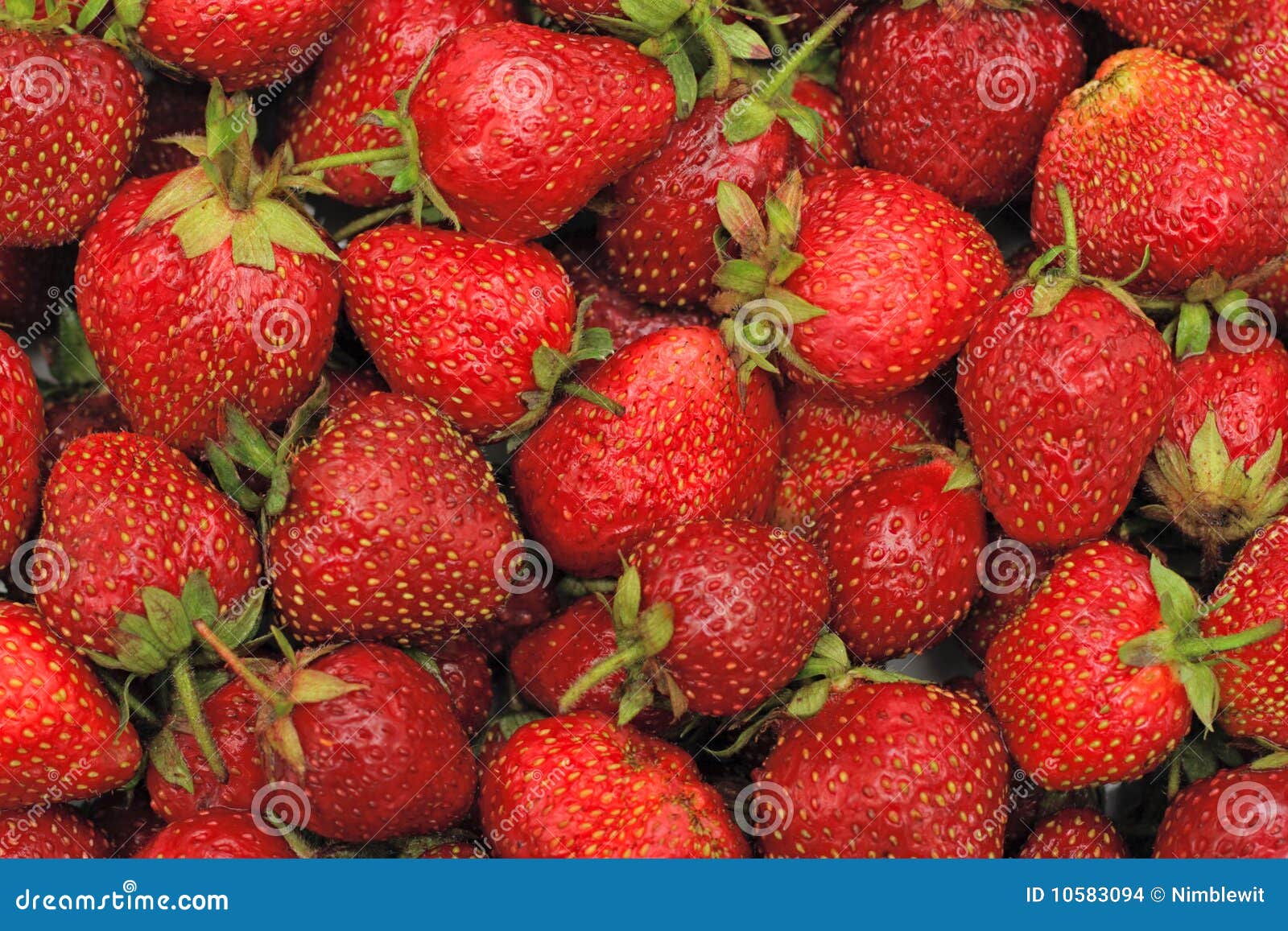 Fresh strawberries stock photo. Image of fruit, ripe - 10583094